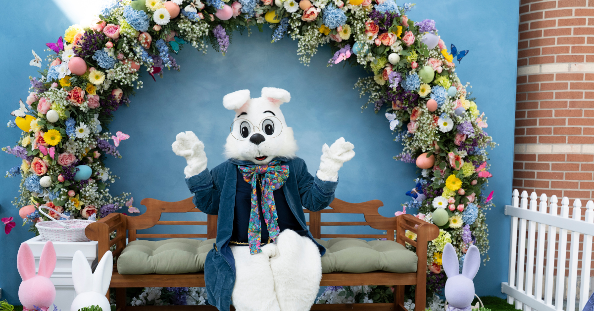 Spring Break - Brandon Exchange